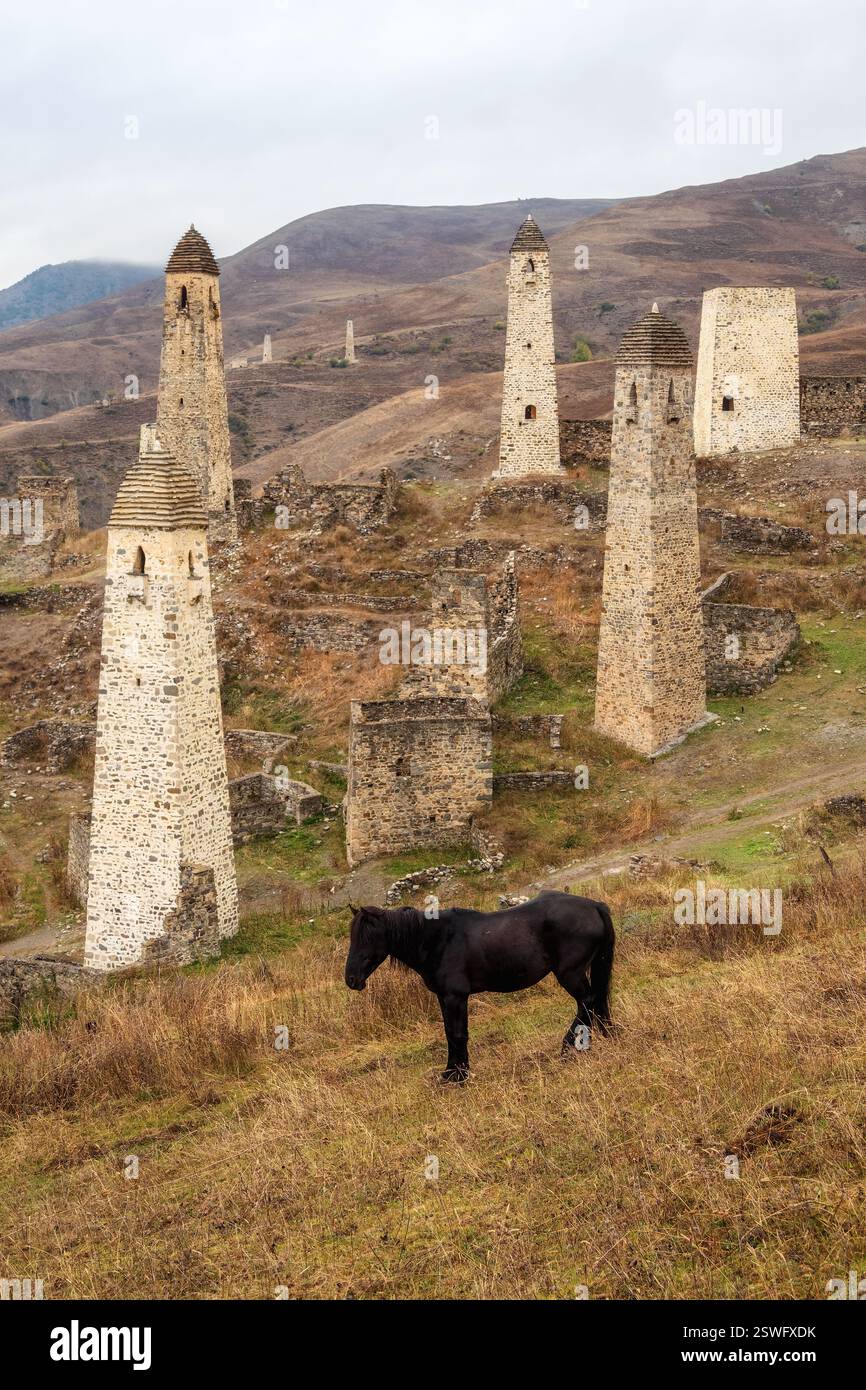 Proud black horse against the background of ancient battle towers in ...
