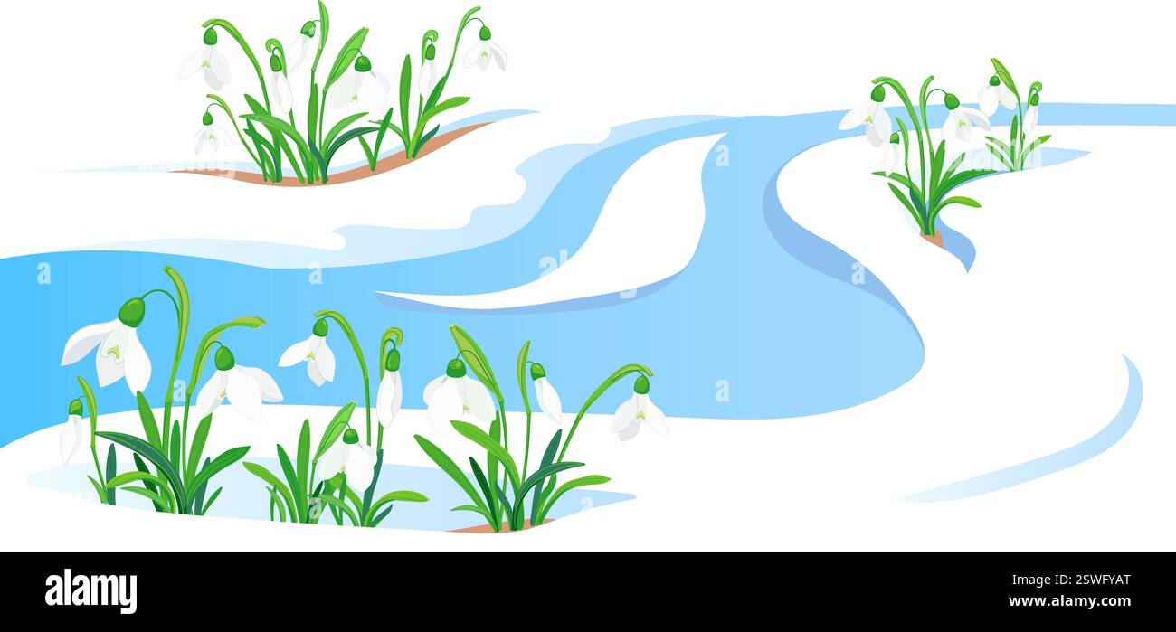 Spring meltwater flow and the first flowers sprout through the snow ...