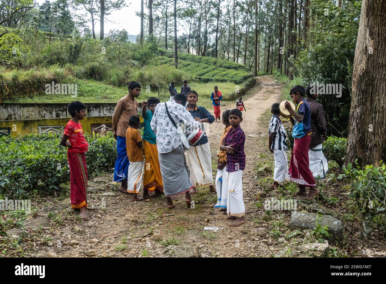 Tamil Thai Pongal harvest festival, Stellenberg Tea Estate, Pekoe Trail ...