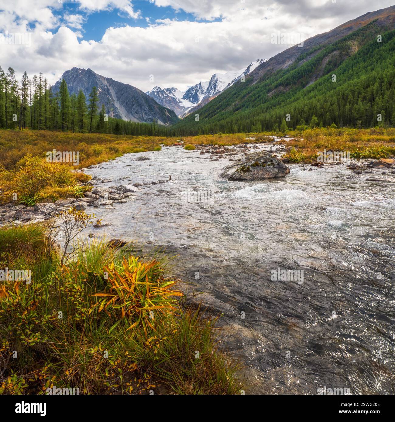 Power mountain river flows down from the glacier. Beautiful alpine ...