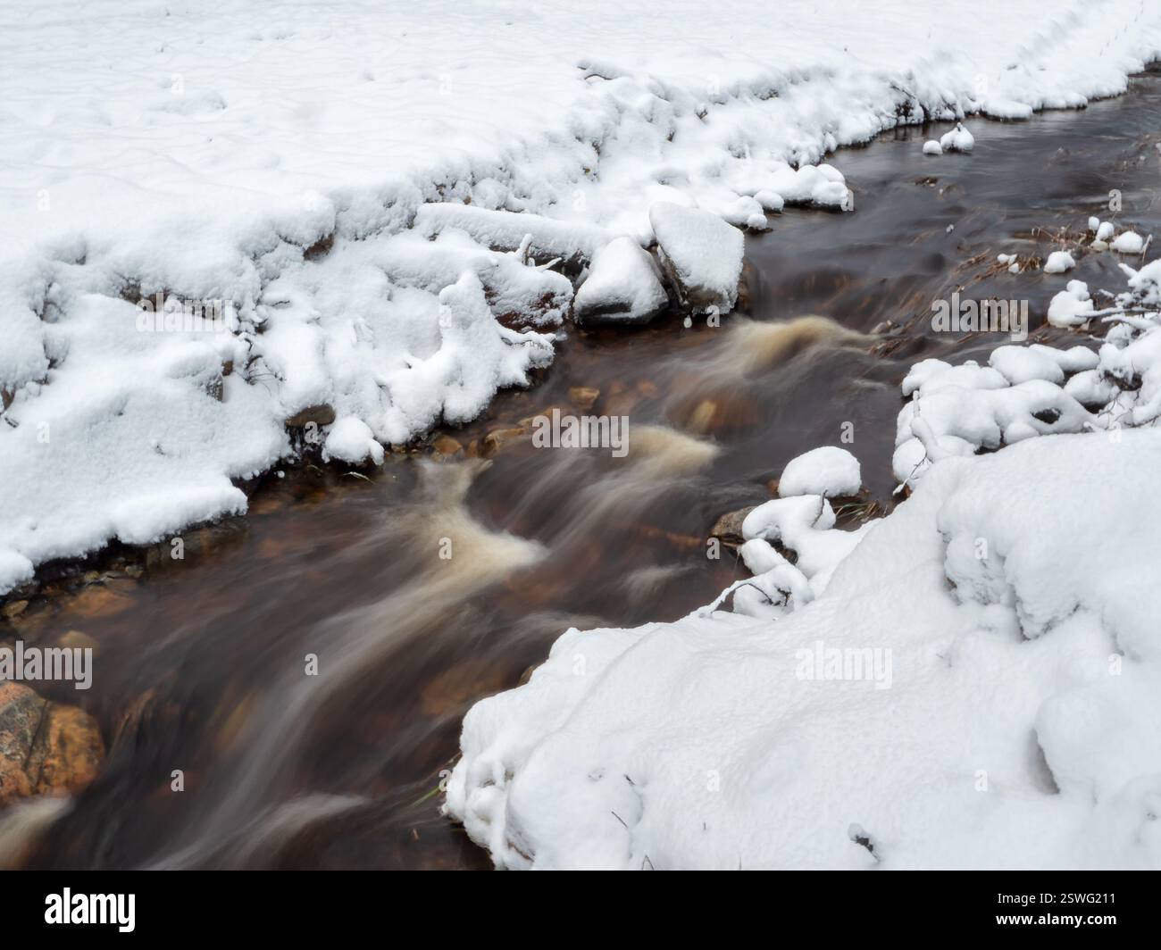 Winter mountain stream in Karelia flows through the forest. The power of wild majestic nature ...