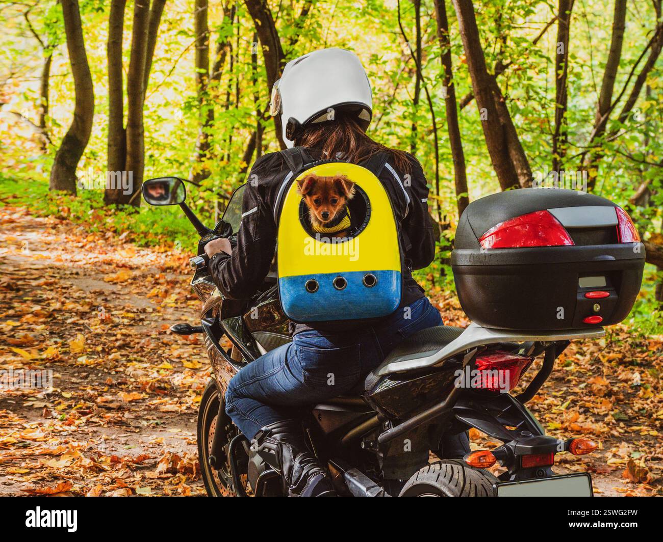 Woman rides on back motorcycle hi-res stock photography and images - Alamy