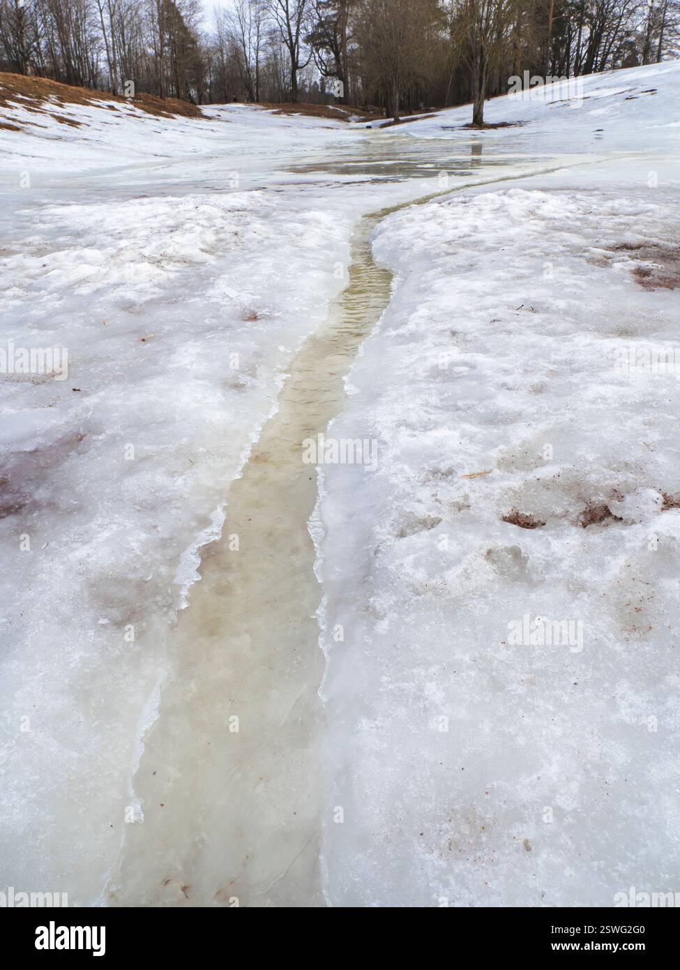 Erosion from flood waters. Spring stream. Snow washed away by a stream ...