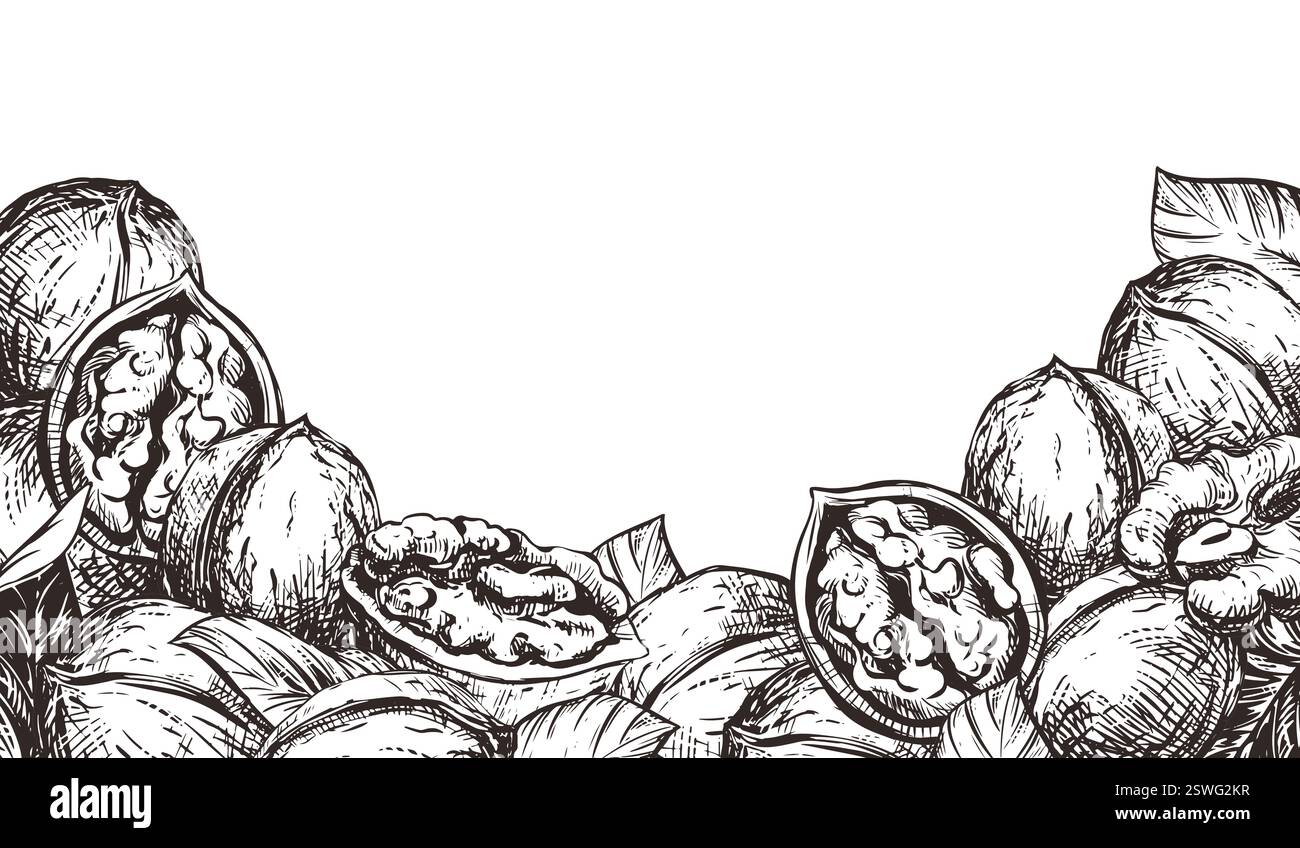 Peeled kernels Stock Vector Images - Alamy