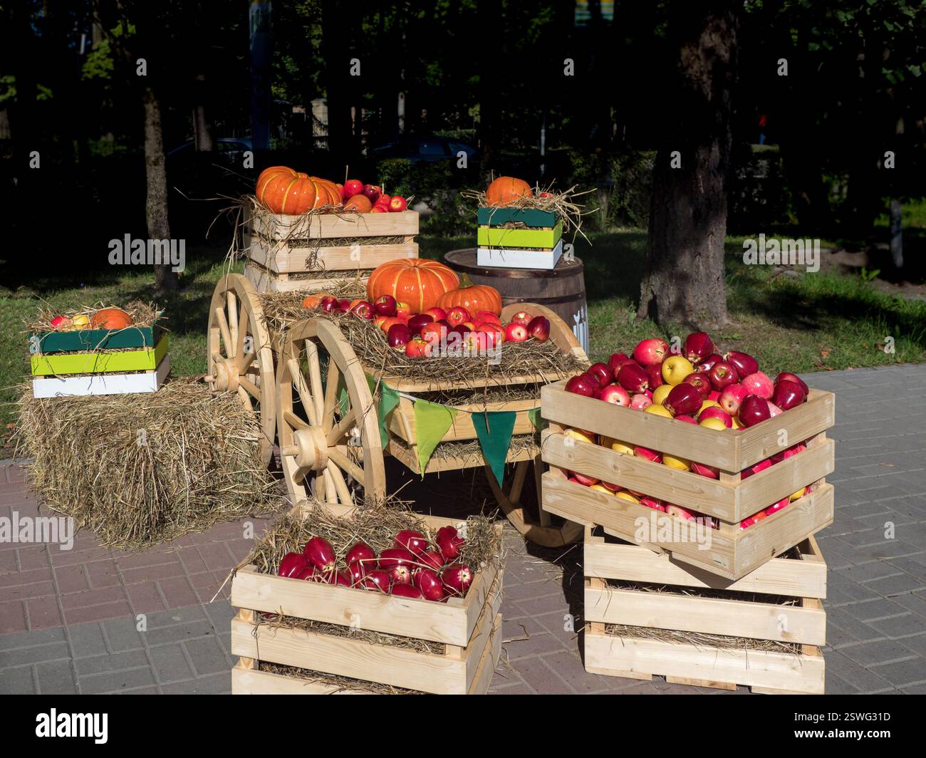 Cart with boxes of fruits and vegetables at the agricultural fair Stock ...