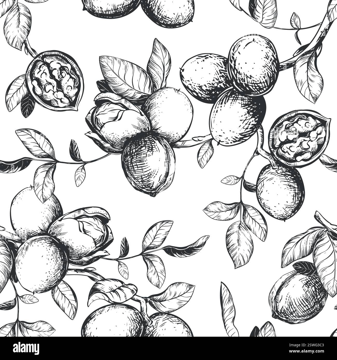 Seamless pattern of walnut branches. Vector background with kernels ...