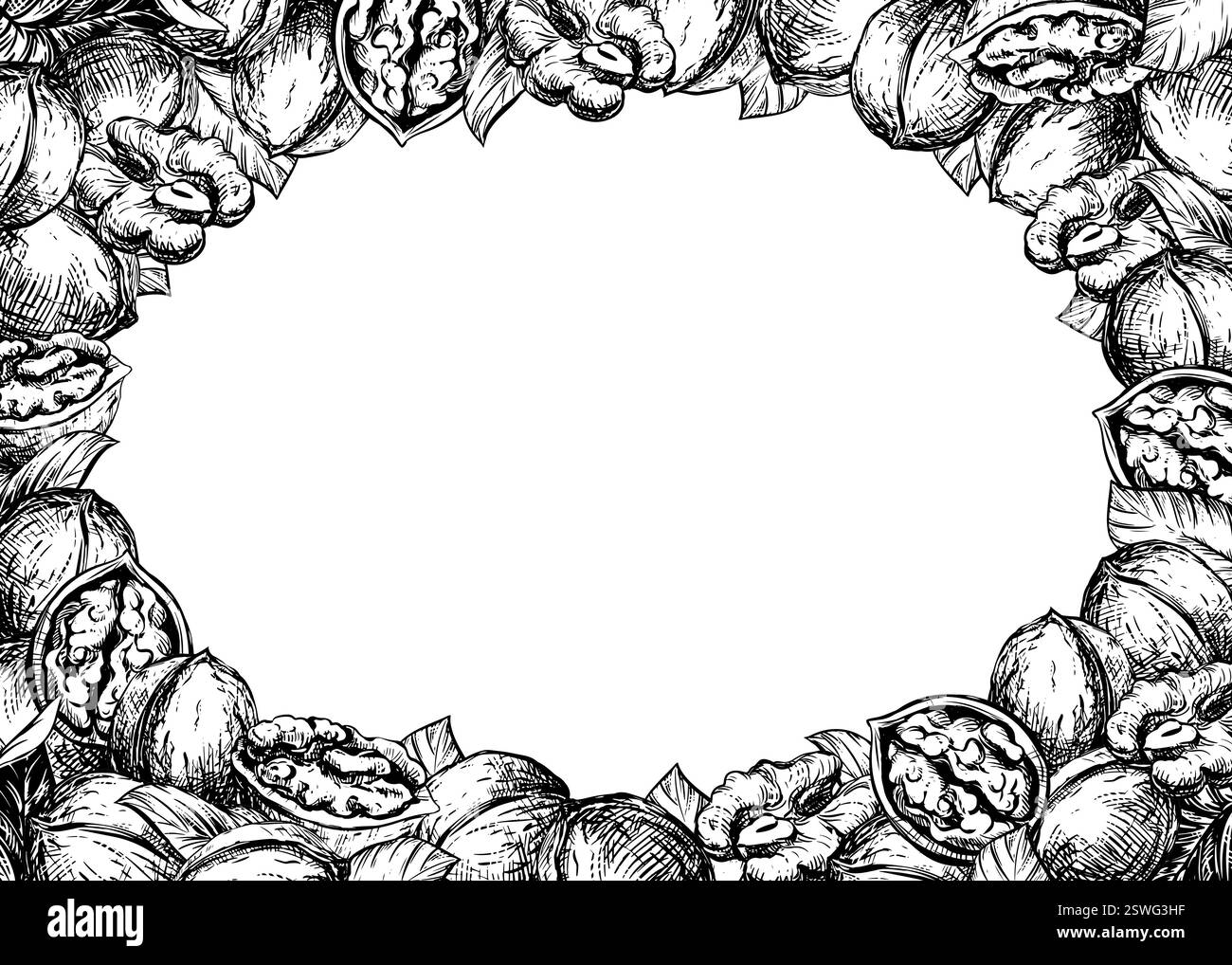 Rectangular horizontal frame made of walnuts with space for text. Vector sketch of nut paste ...