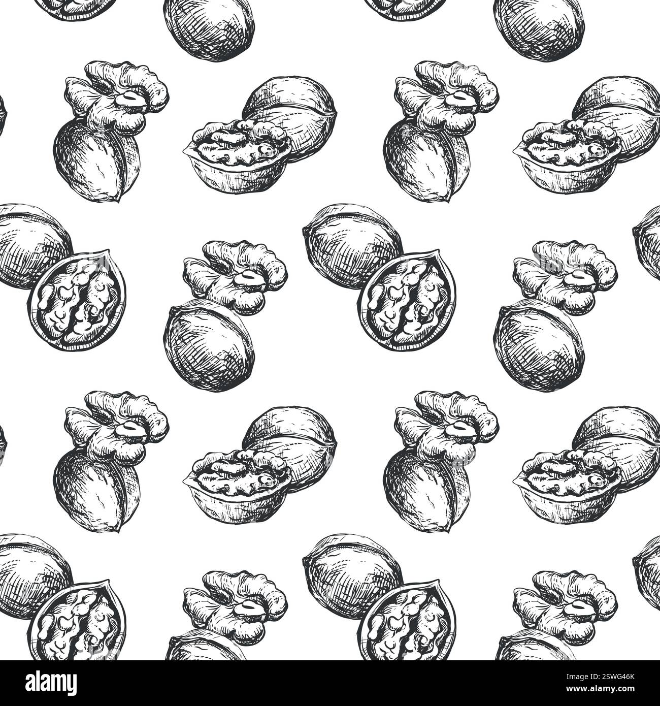 Hand drawn walnut sketch vector illustration. Seamless pattern walnut ...