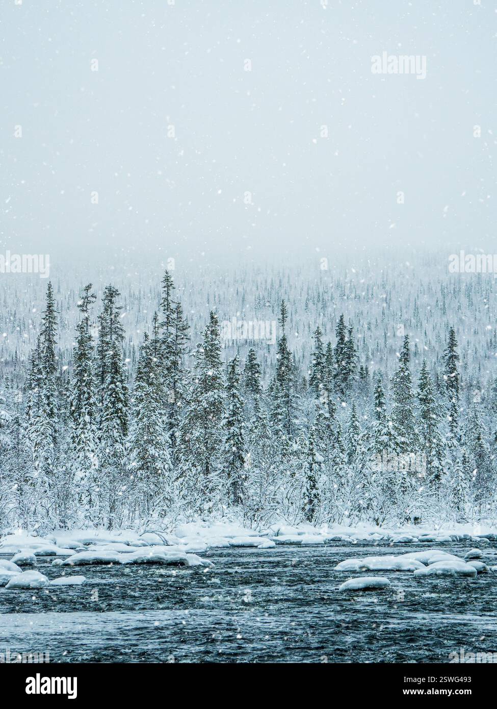 Pure untouched land hi-res stock photography and images - Alamy