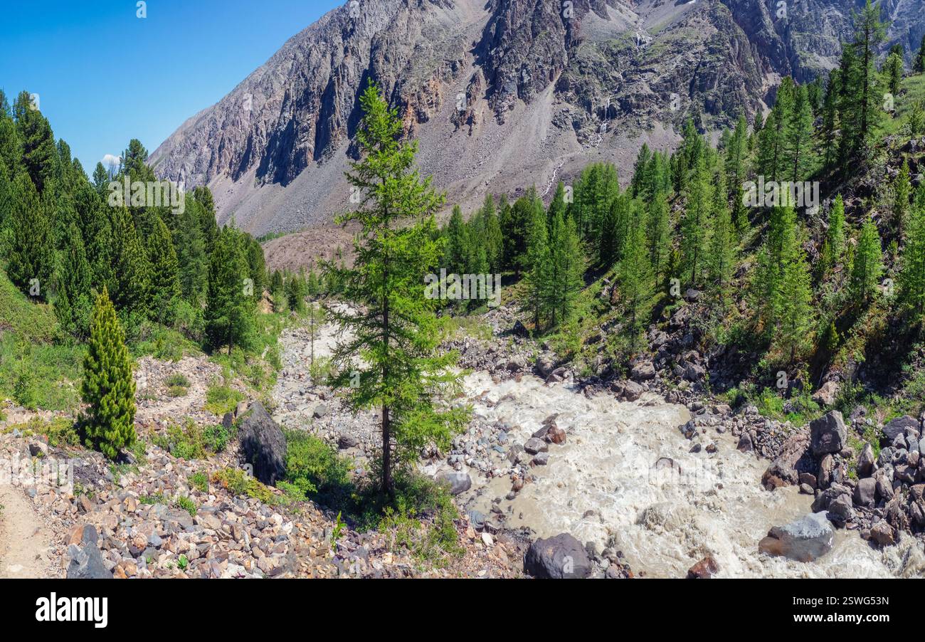 Mountain river flow through forest. Beautiful alpine landscape with ...