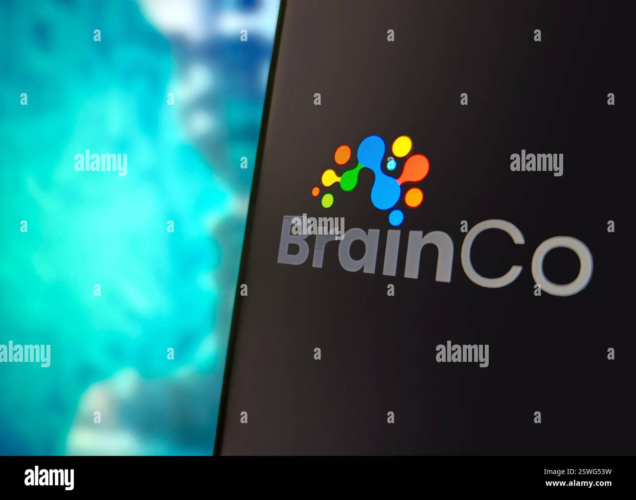 SUQIAN, CHINA - FEBRUARY 21, 2025 - An illustration shows the LOGO of ...