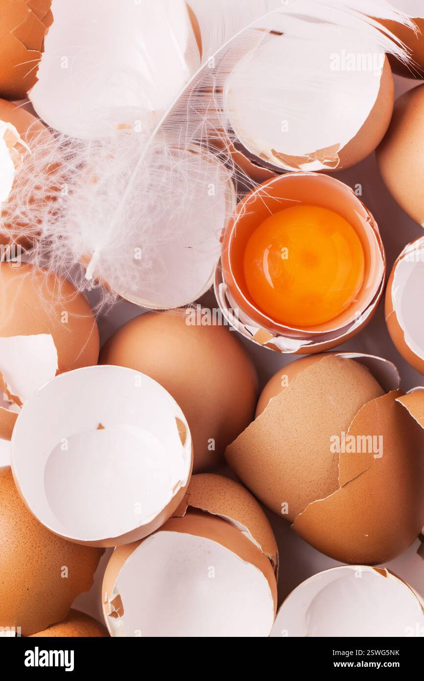 Background with top view on broken empty egg shell, feather and one yolk Stock Photo - Alamy