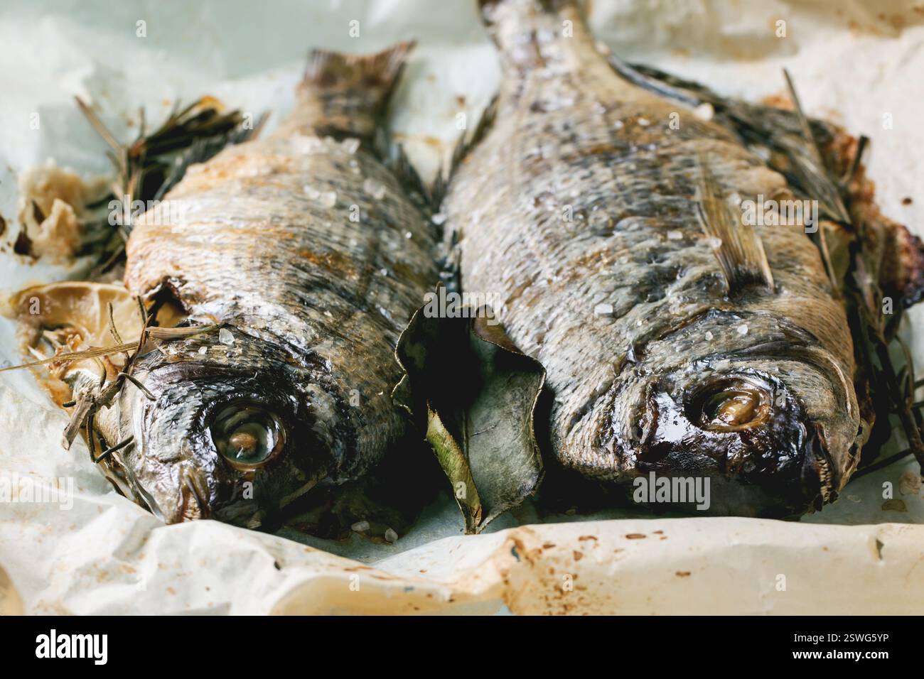 Tow grilled dorado fish Stock Photo - Alamy