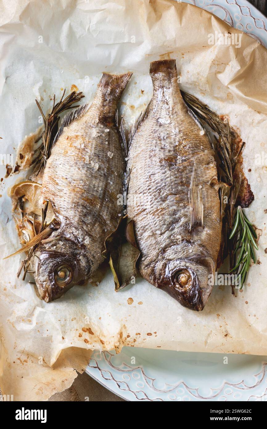 Close up european seabass fish hi-res stock photography and images - Alamy