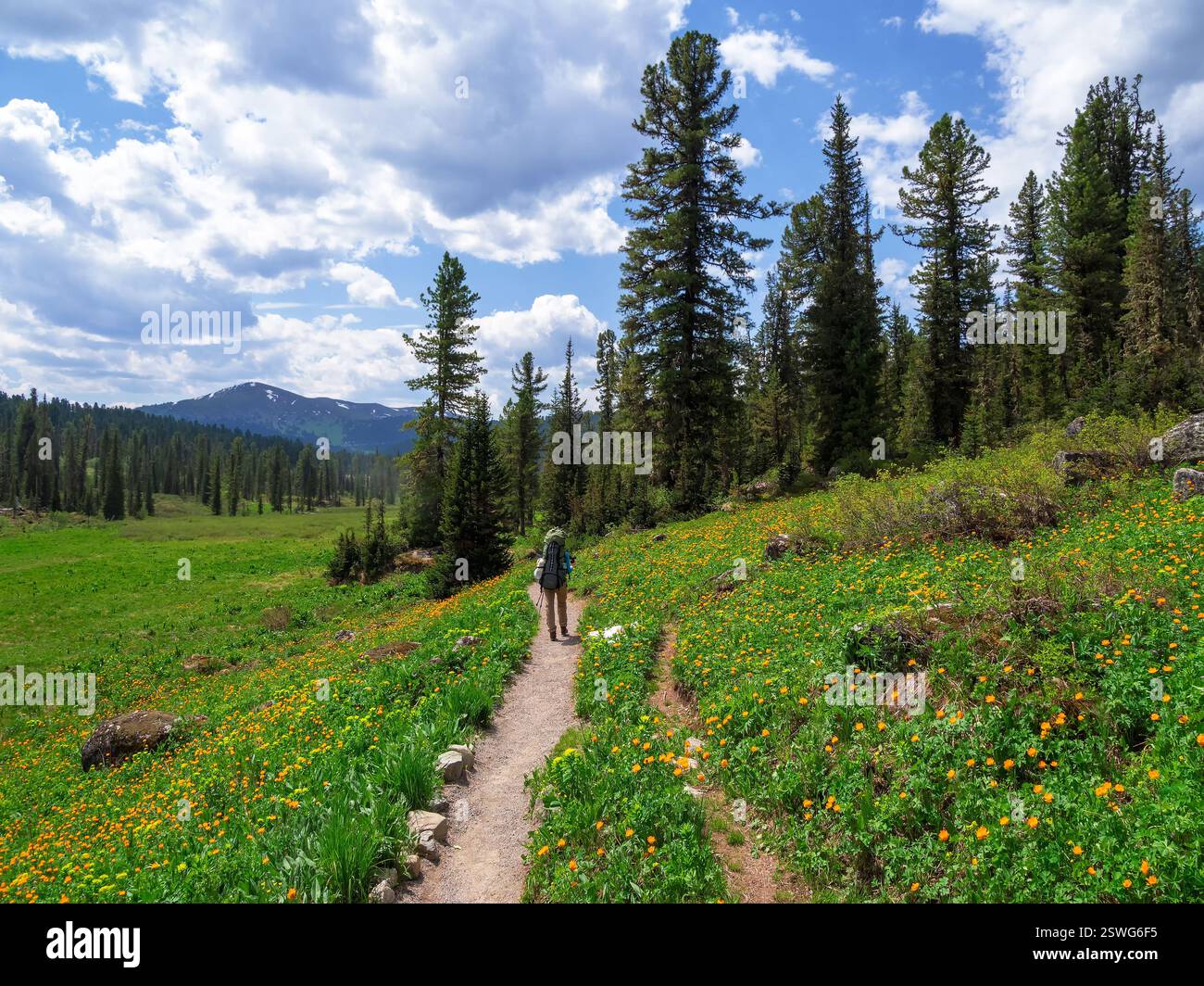 Backpacking, view from the back Stock Photo - Alamy