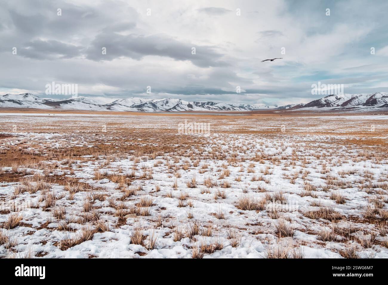 Snowy mountain prairie. Beautiful snow scene in wildness in blue cloud ...