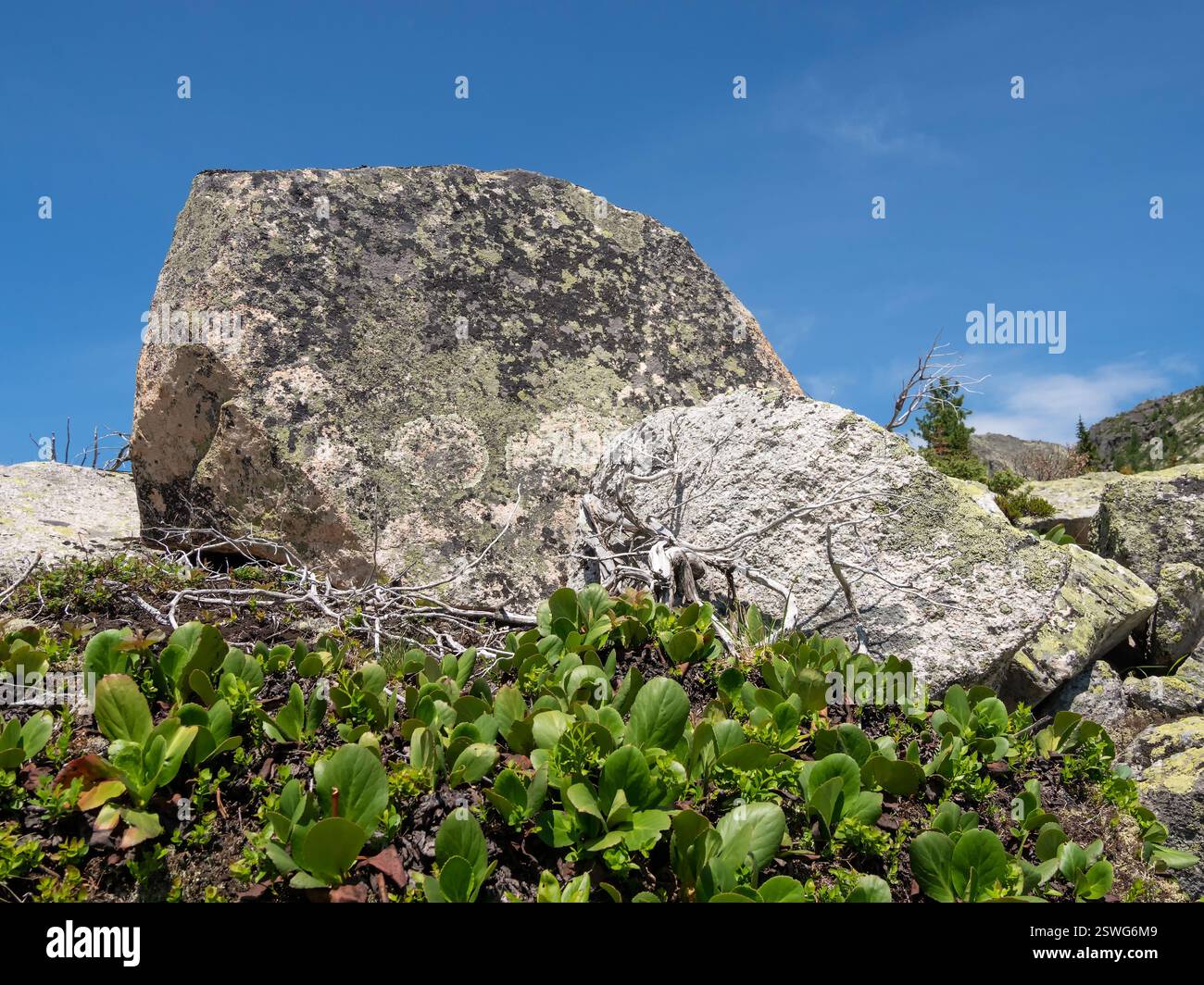 Large granite hi-res stock photography and images - Alamy