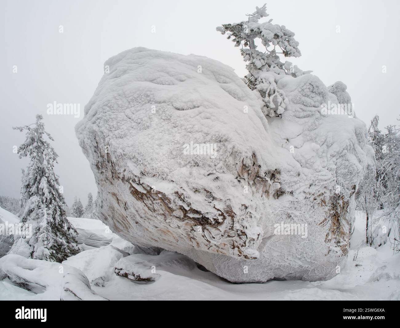 Large boulder is covered with snow in a white winter veil. Winter ...