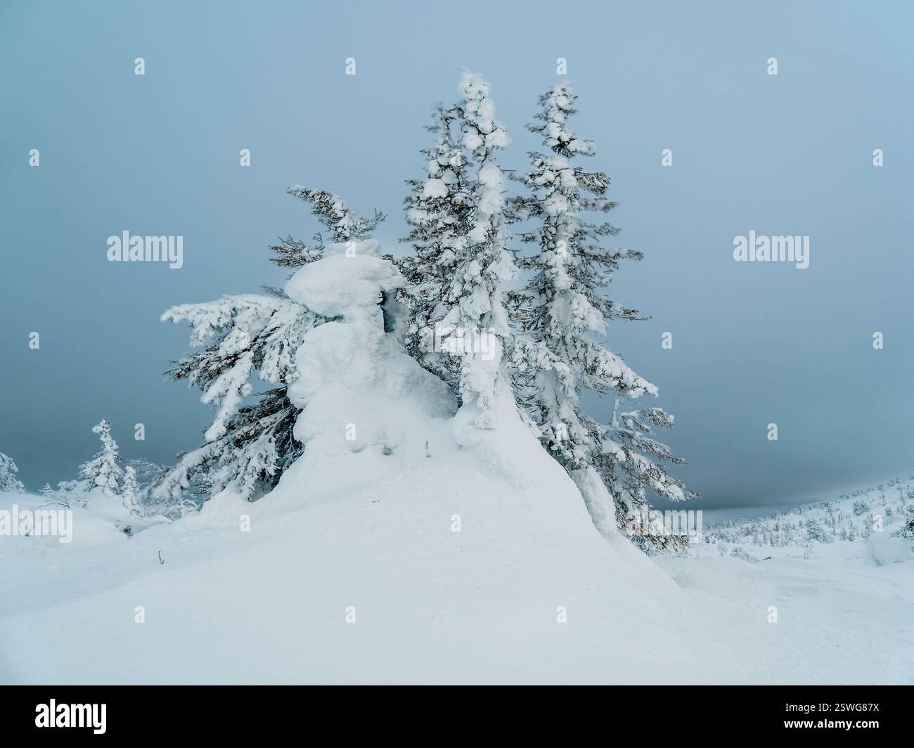 Magical bizarre silhouettes of trees are plastered with snow. Arctic ...