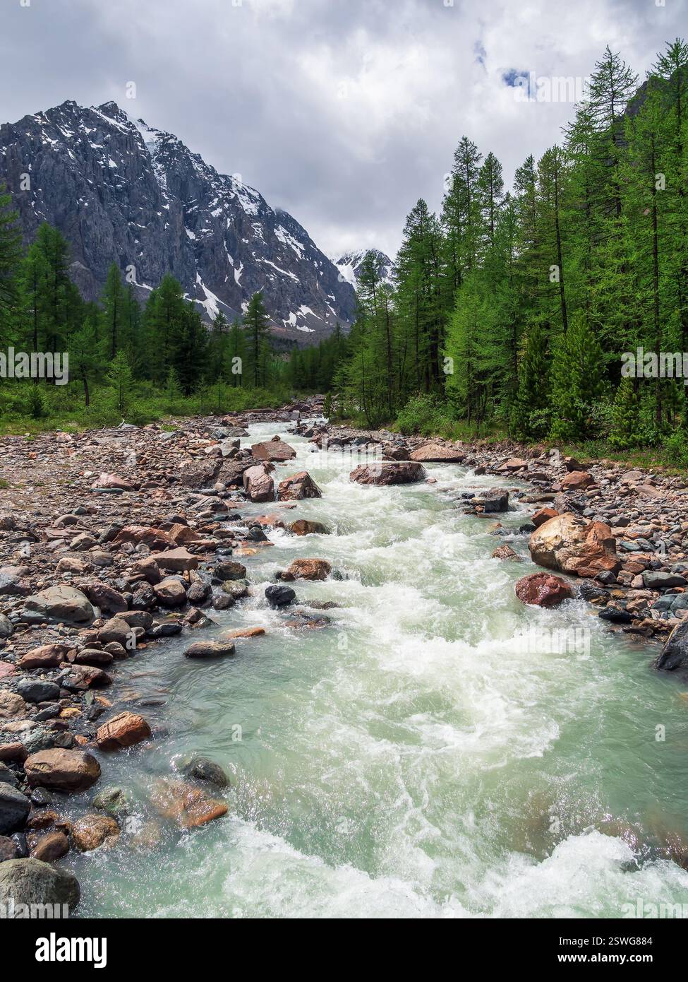 Stormy mountain river flow through forest. Beautiful alpine landscape ...