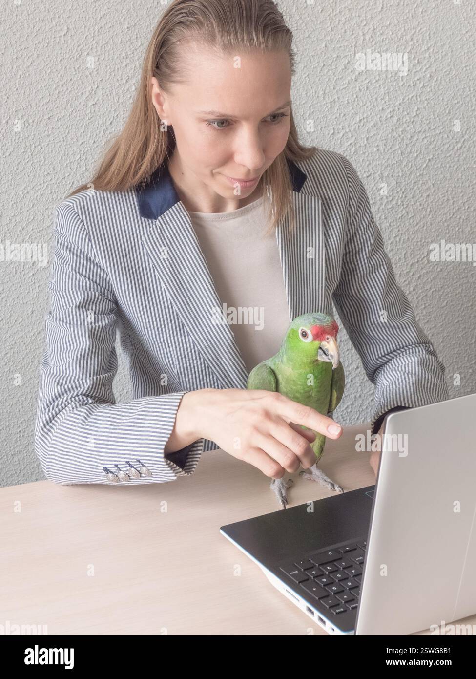 Parrot bird cooperation hi-res stock photography and images - Alamy