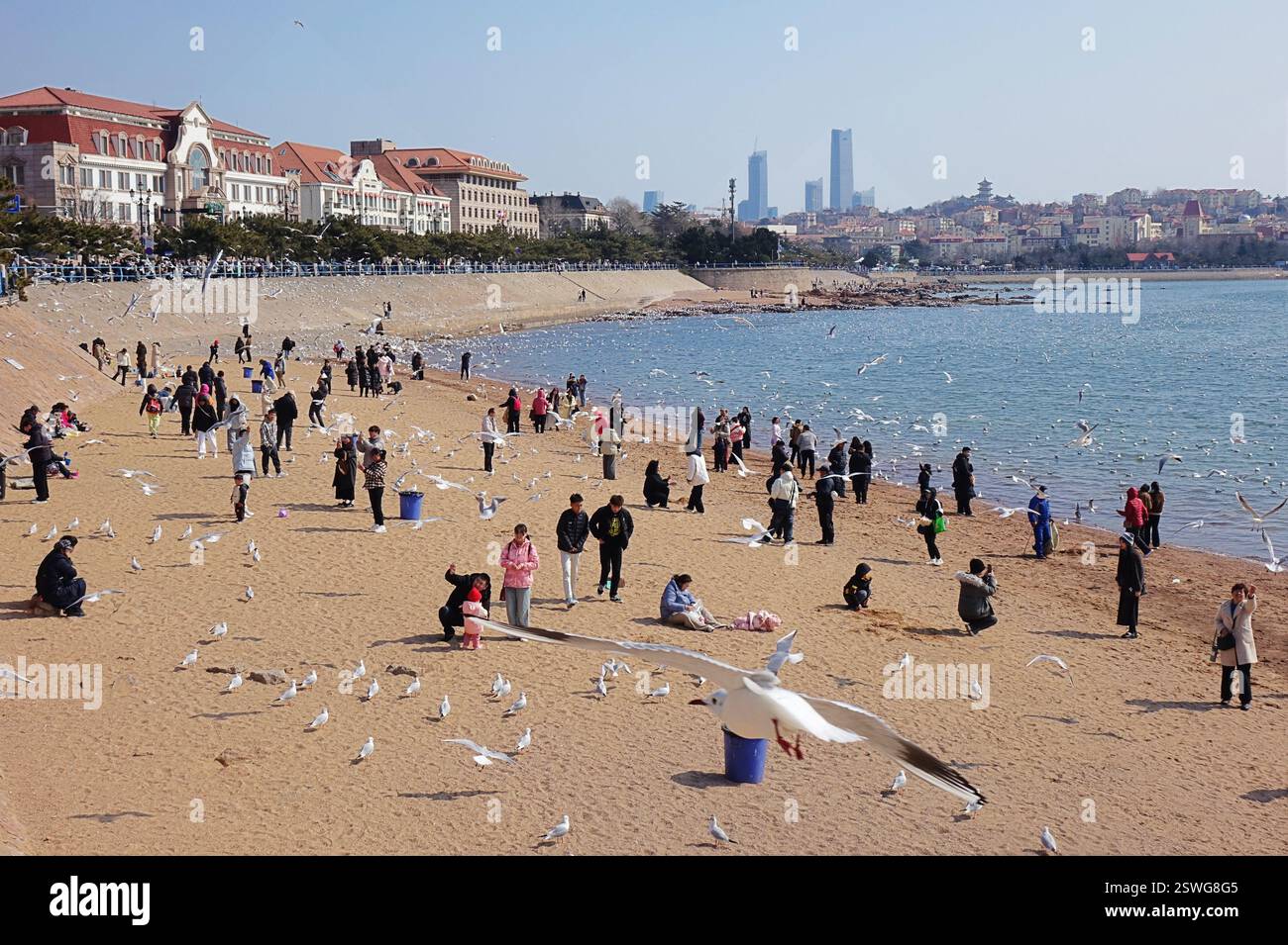 Seagulls gather at the Zhanqiao Pier scenic area in Qingdao City, east ...