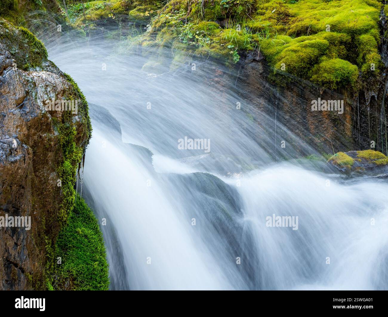 Waterfall close-up, water splashes, wildlife concept. Atmospheric ...