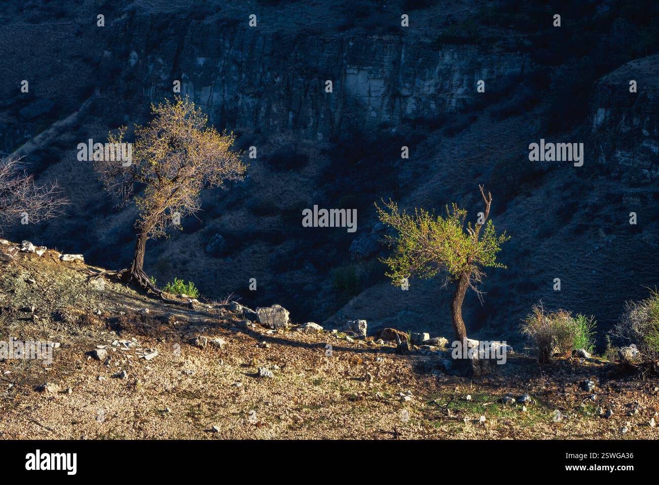 Hochgebirgsplateau hi-res stock photography and images - Alamy