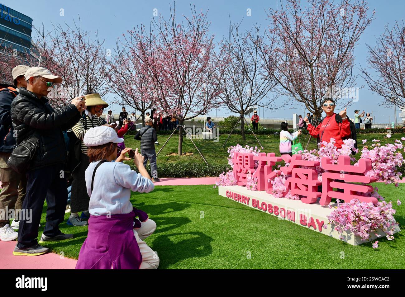 Hong Kong,China.20th February 2025. Visitors enjoy the blooming cherry ...