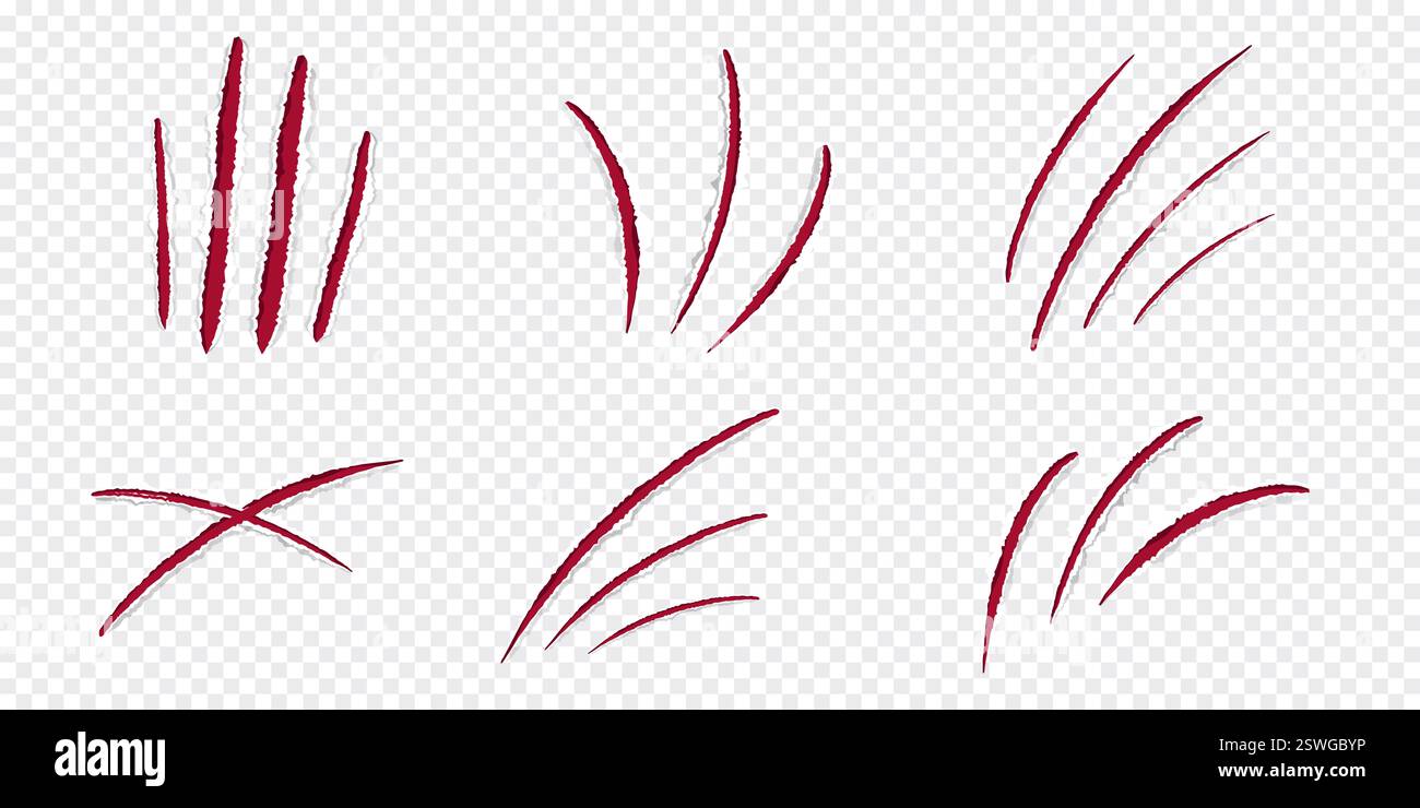 Cat claws red scratches, torn paper edge isolated on transparent ...