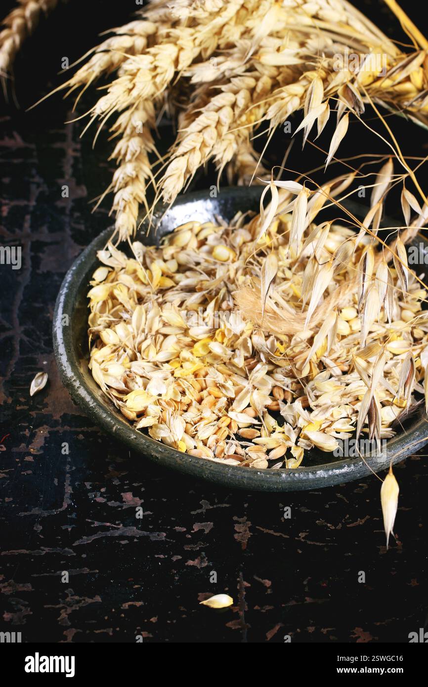 Ripe wheat and oat ears and seeds Stock Photo - Alamy