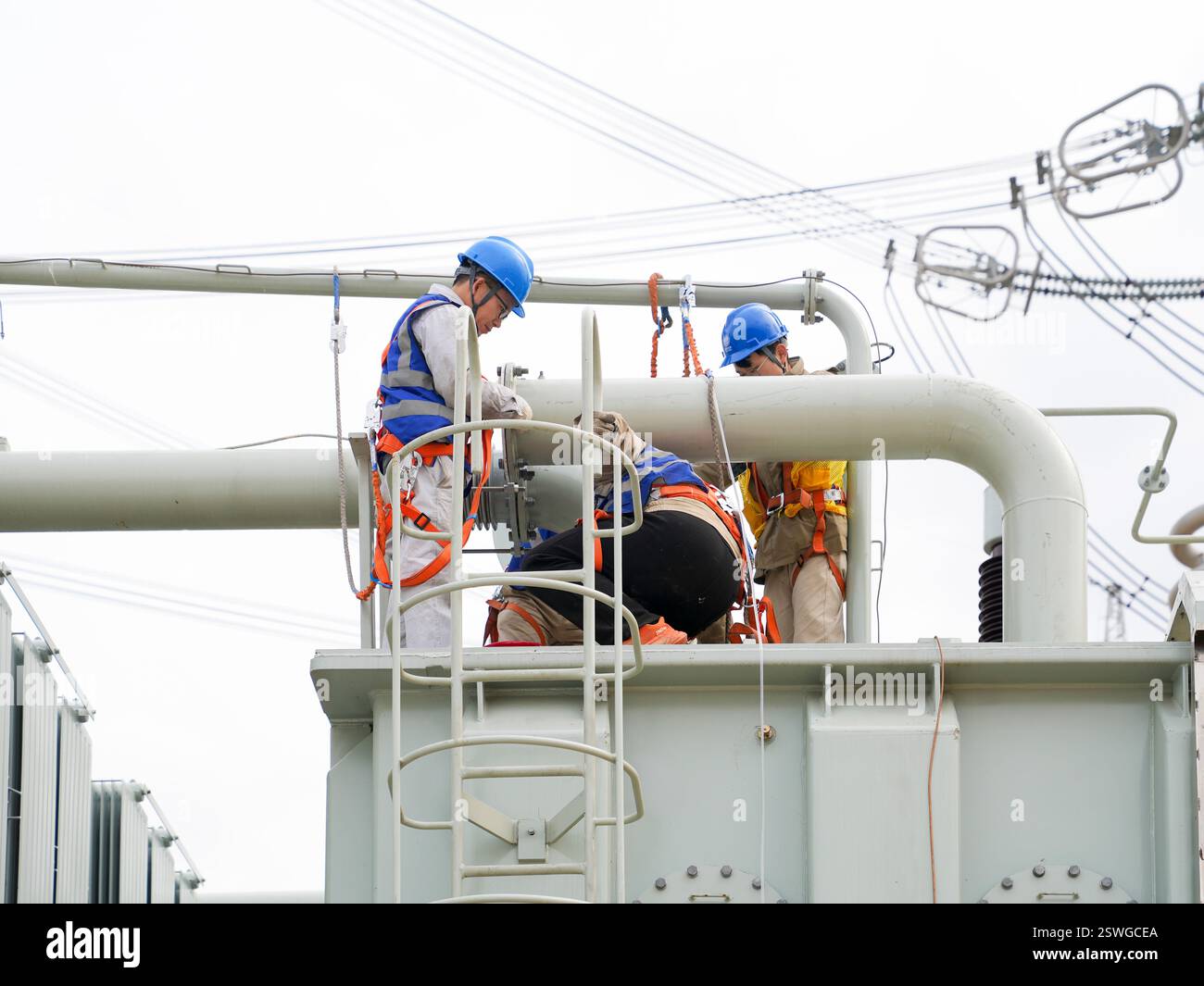 Taizhou, China. 21st Feb, 2025. TAIZHOU, CHINA - FEBRUARY 21, 2025 ...