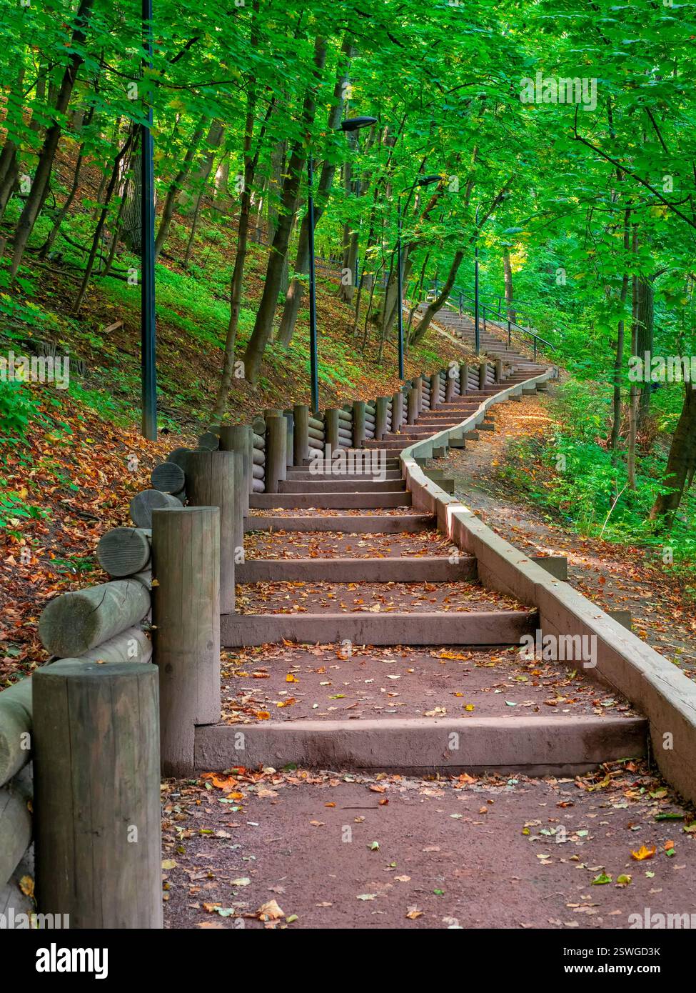 Empty green ecological path in autumn, bottom-up view Stock Photo - Alamy