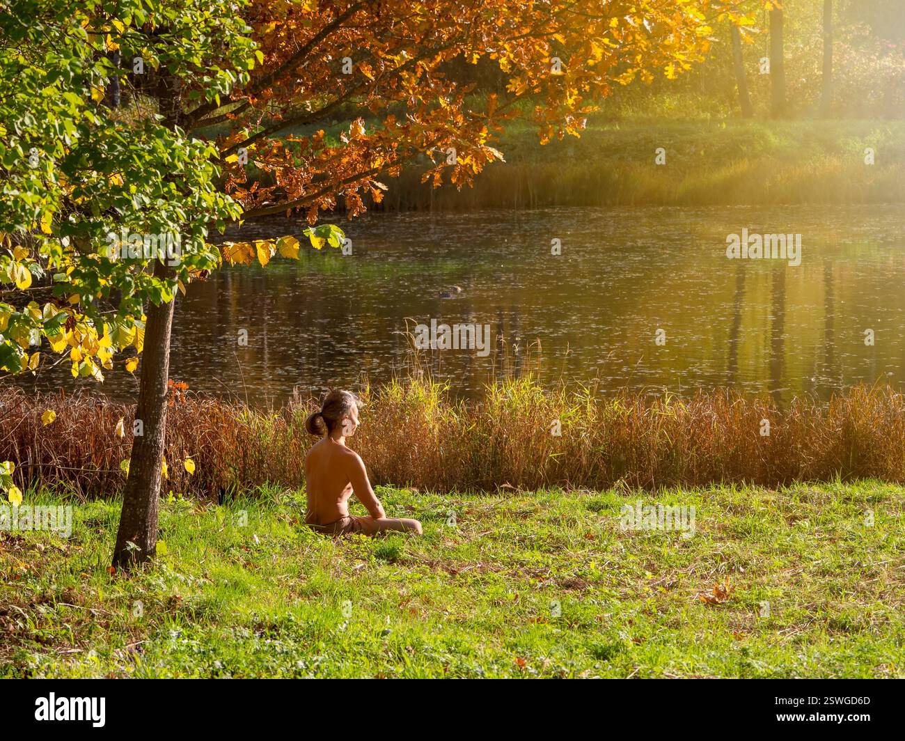 A yogi man practices yoga meditation under an autumn tree in a park ...