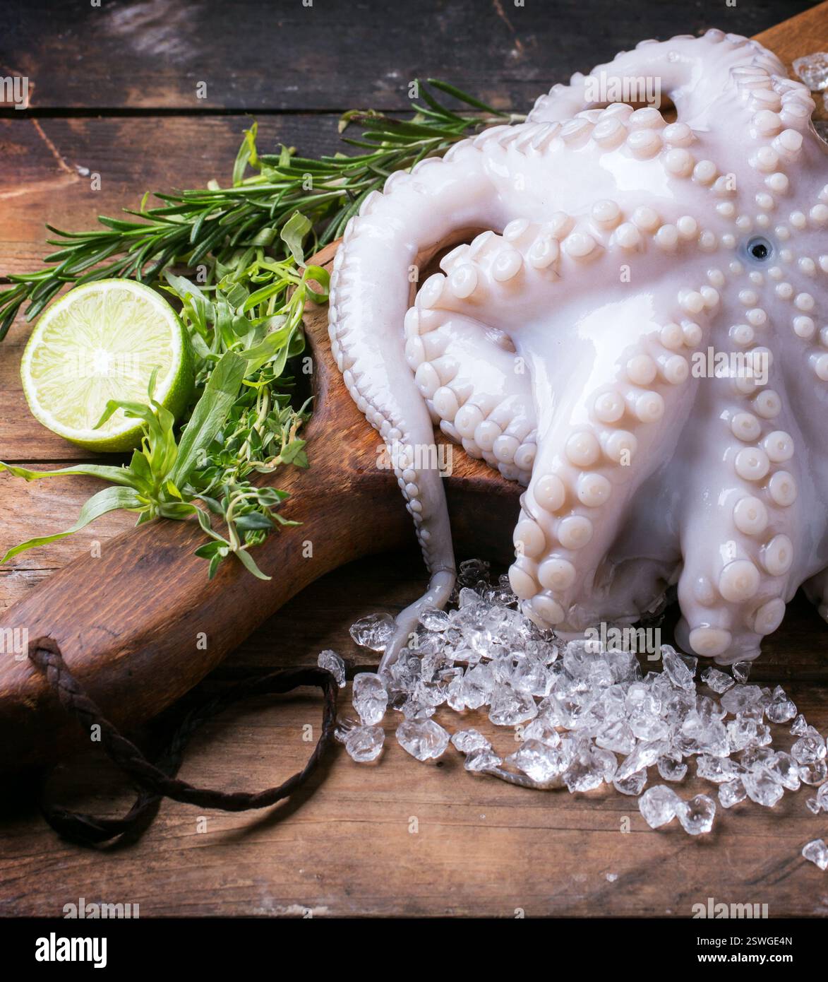 Octopus on ice Stock Photo - Alamy