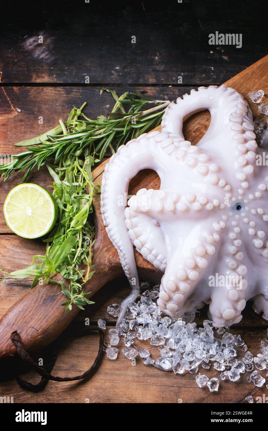 Octopus on ice Stock Photo - Alamy
