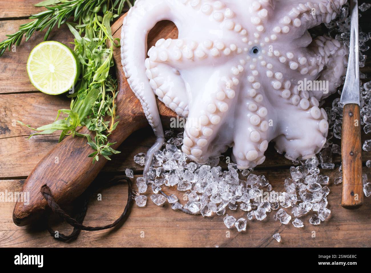 Octopus on ice Stock Photo - Alamy