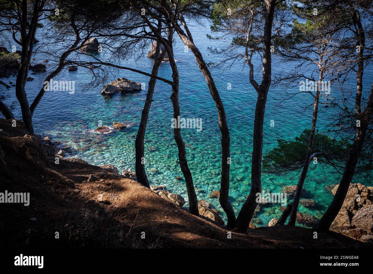 coast with reefs and islets, Llucalcari, Deia, Natural area of the ...