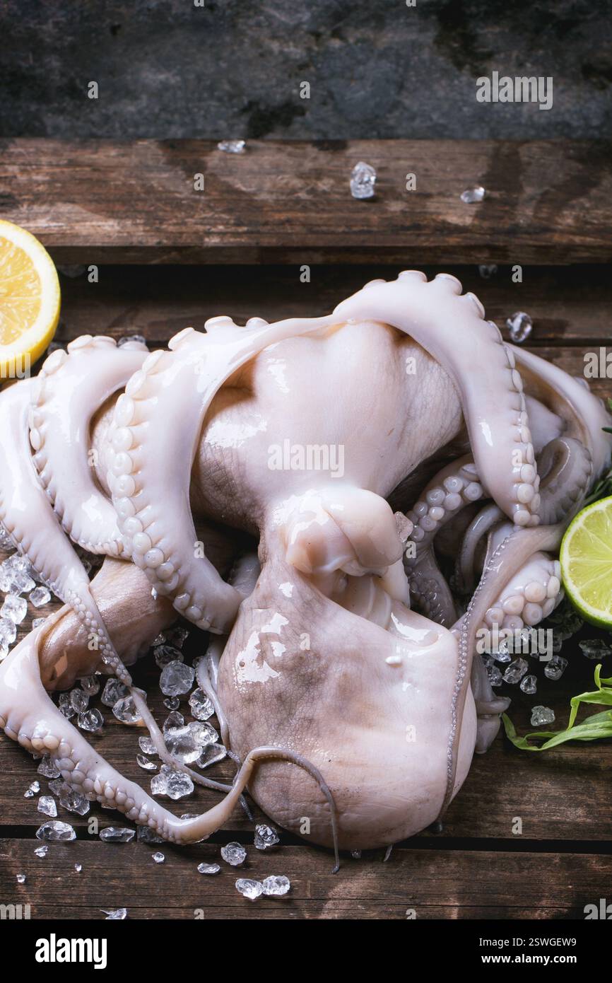 Octopus on ice Stock Photo - Alamy