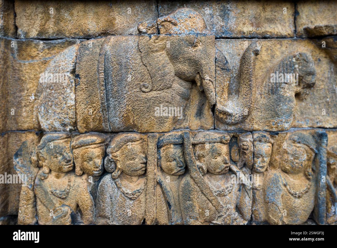 Bas-relief of an elephant and soldiers on Borobudur Temple, Java ...