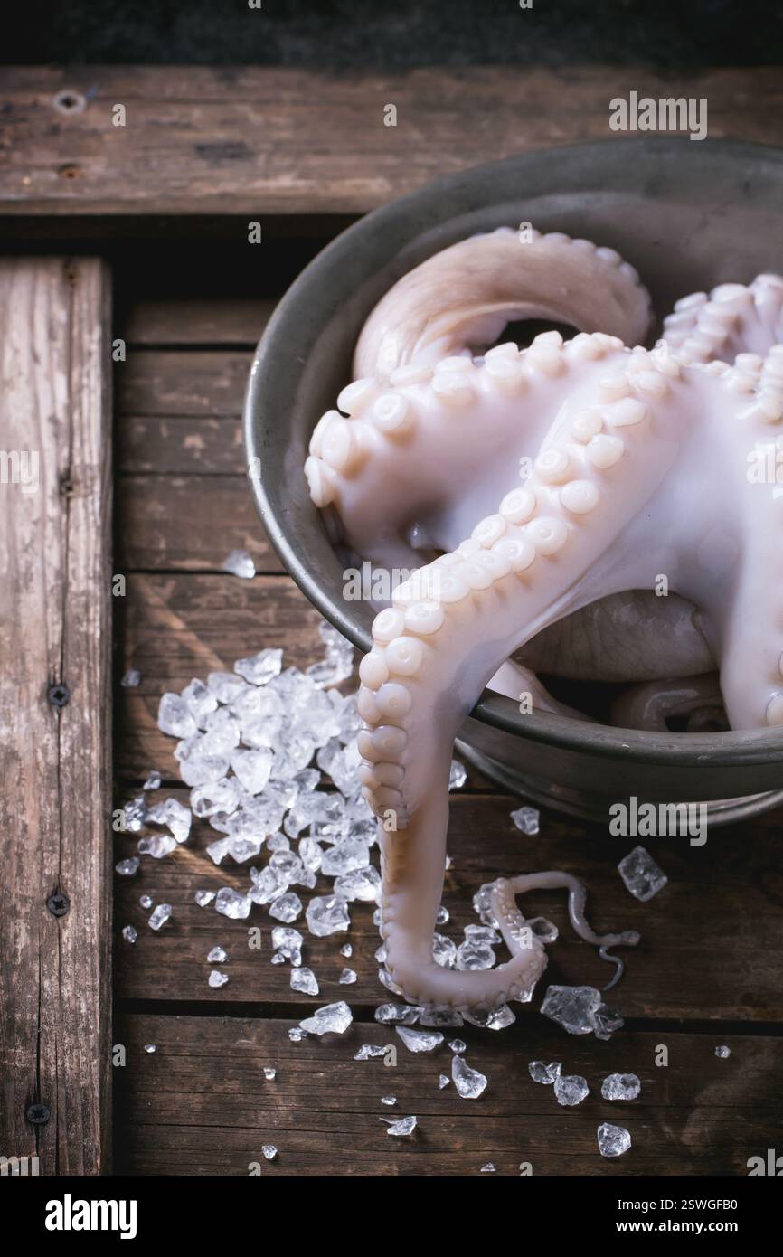 Octopus on ice hi-res stock photography and images - Alamy