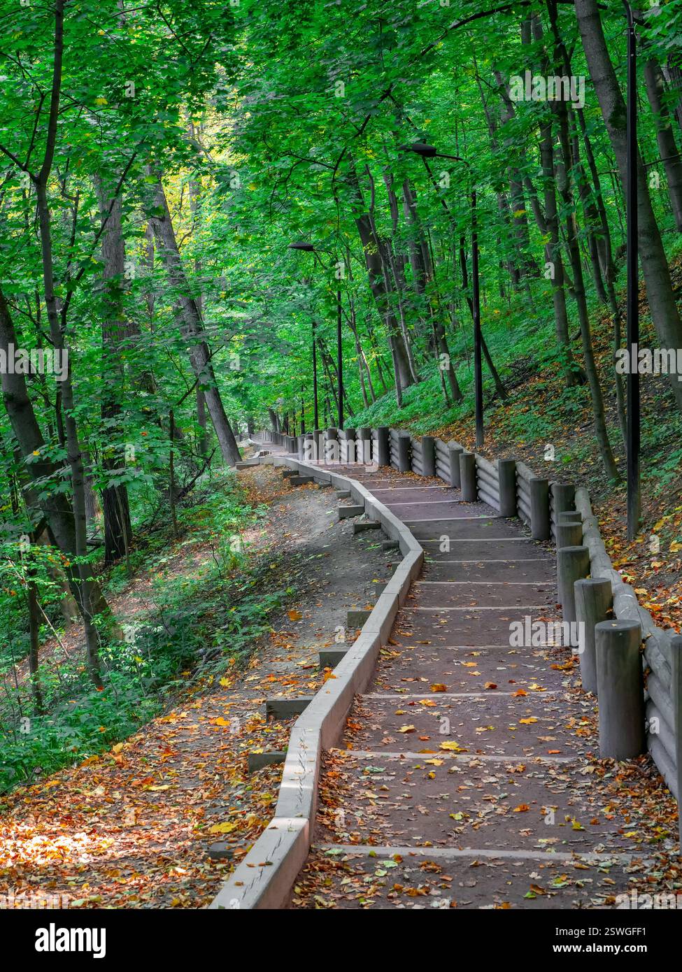 Staircase in green forest. Ecological path in the Park Stock Photo - Alamy