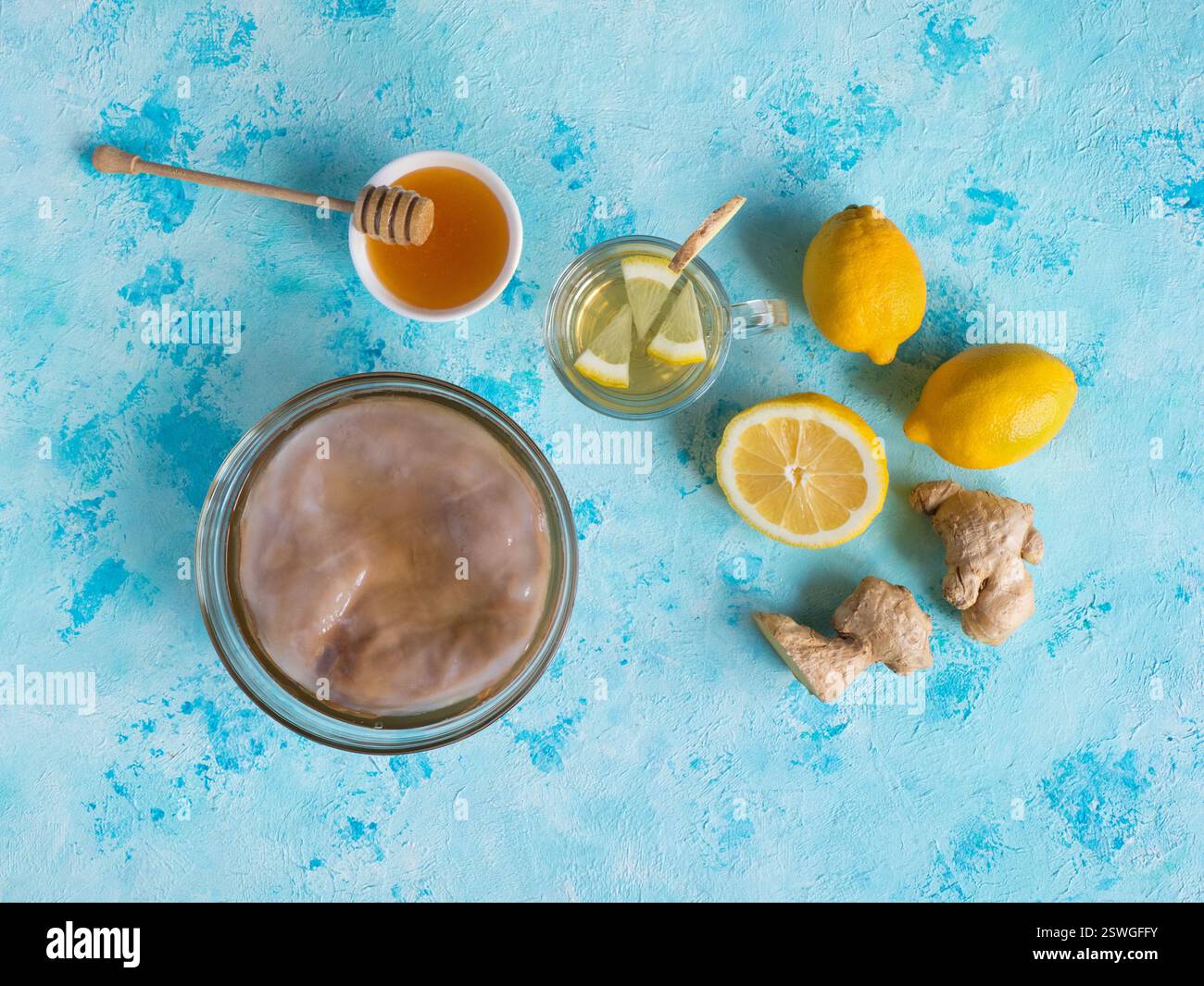 Kombucha fungus with ginger root, honey and lemon Stock Photo - Alamy