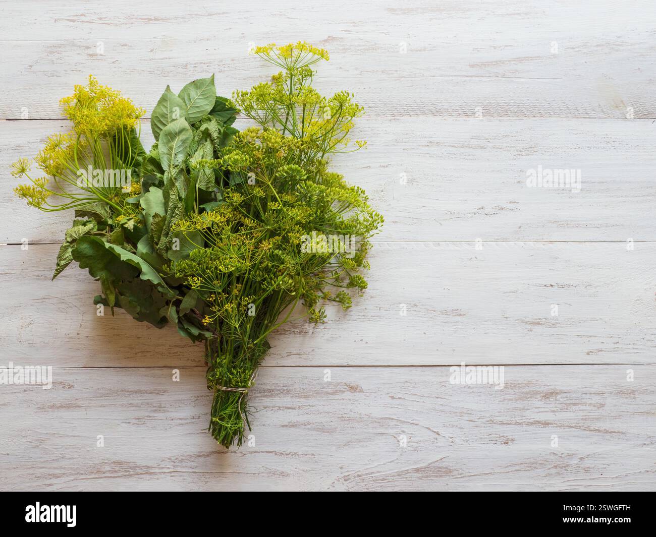 A bouquet of spices for pickling. Green spices for preserving ...