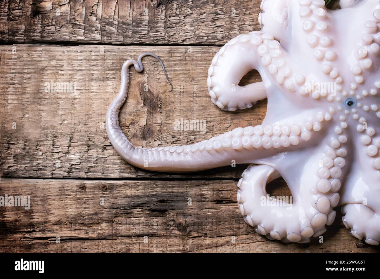 Octopus on ice Stock Photo - Alamy
