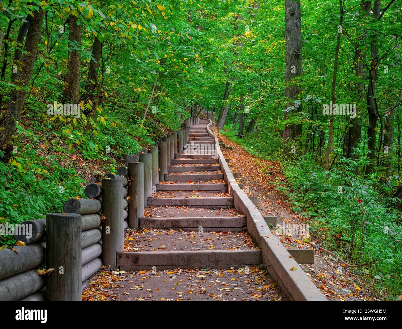 Empty green ecological path in autumn, bottom-up view Stock Photo - Alamy