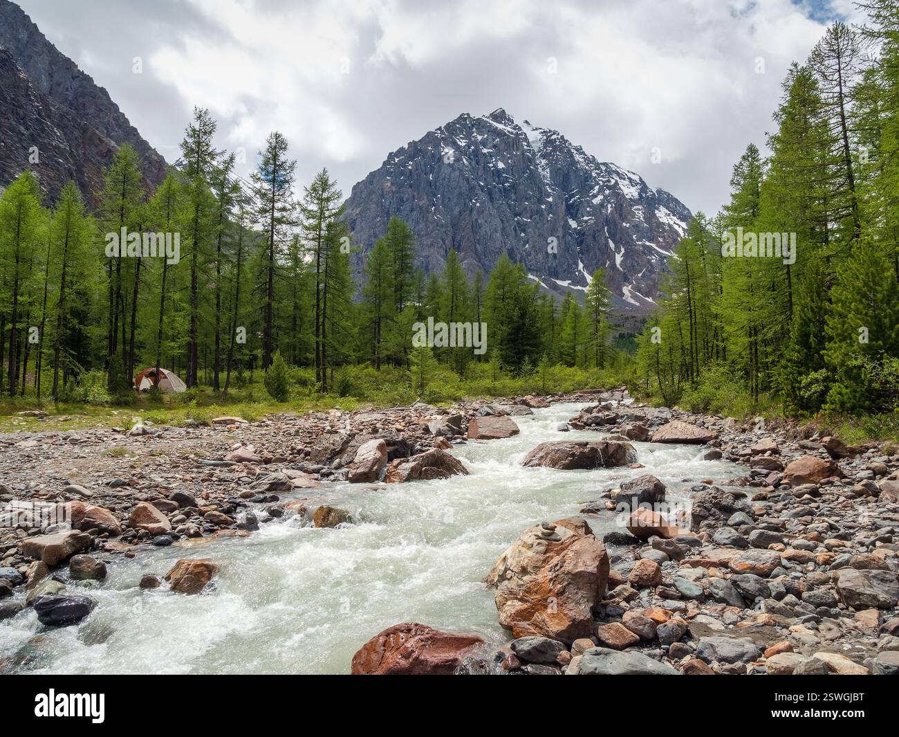 Amazing landscape with powerful mountain river and coniferous forest in ...