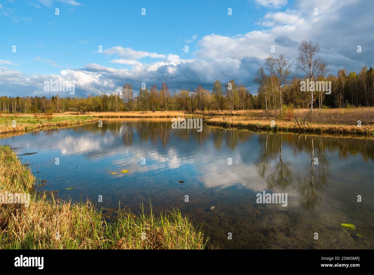 Bright dramatic spring landscape with an old pond, trees on the shore ...