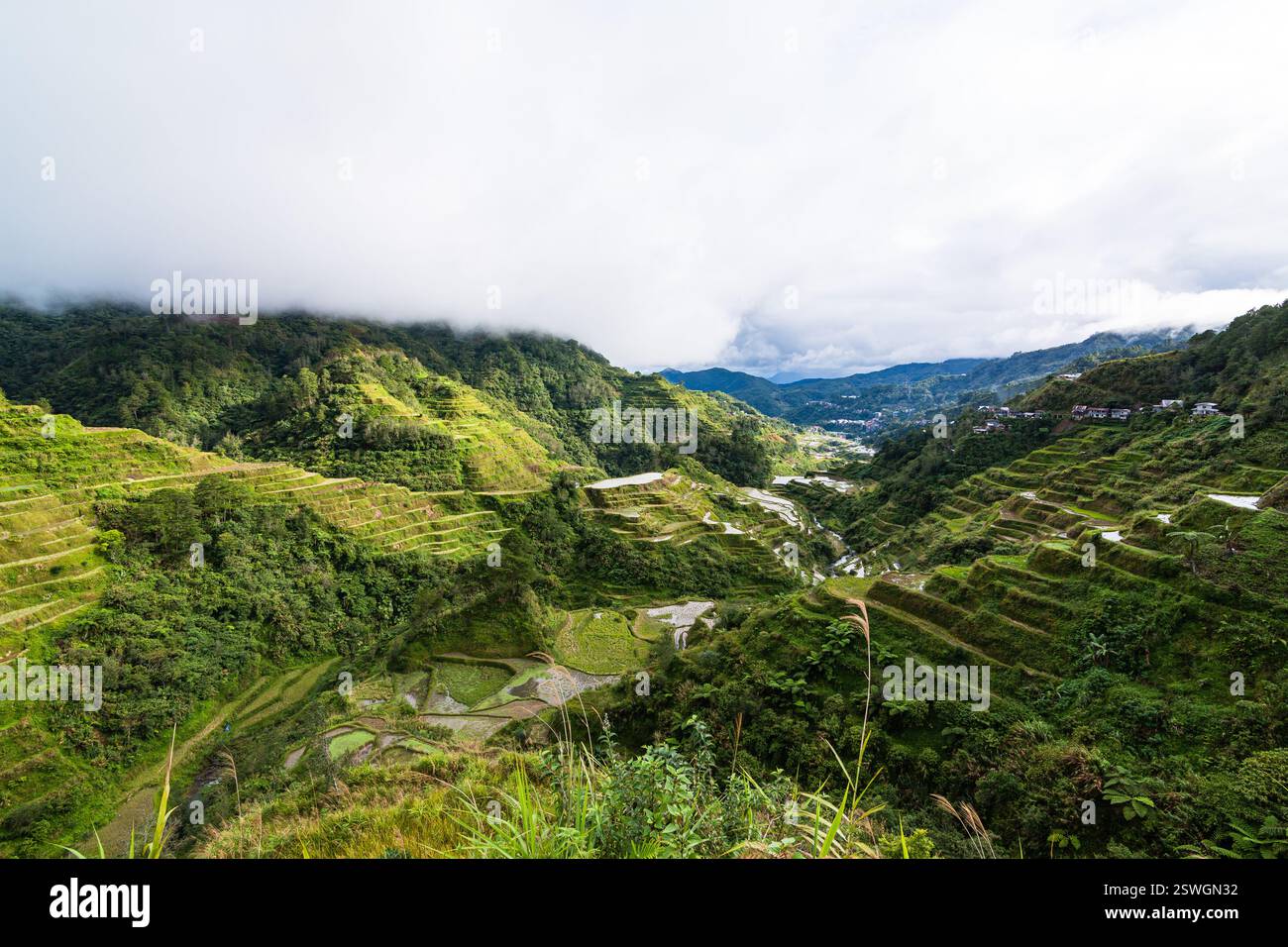 Terraced rice fields in Banaue in Cordilella, Philippines Stock Photo ...