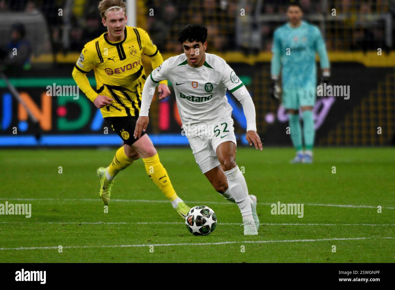 Dortmund, Deutschland. 19th Feb, 2025. Fussball; UEFA Champions League; Saison 2024/2025; Season ...